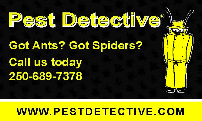 Pest Detective - TimesChronicle.ca