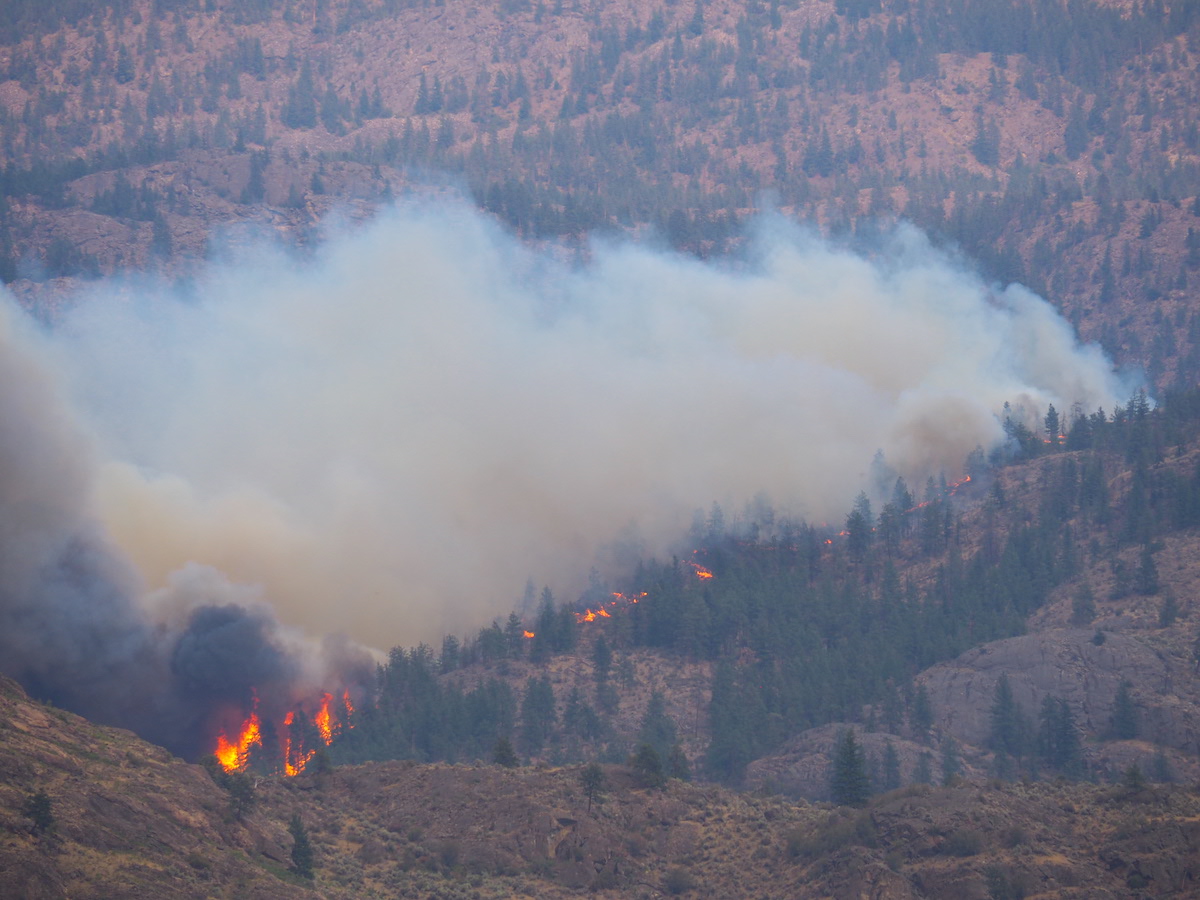'Aggressive' fire now 300 hectares - TimesChronicle.ca