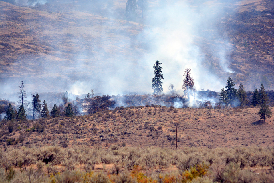 Fire crews protecting homes during flare-up - TimesChronicle.ca