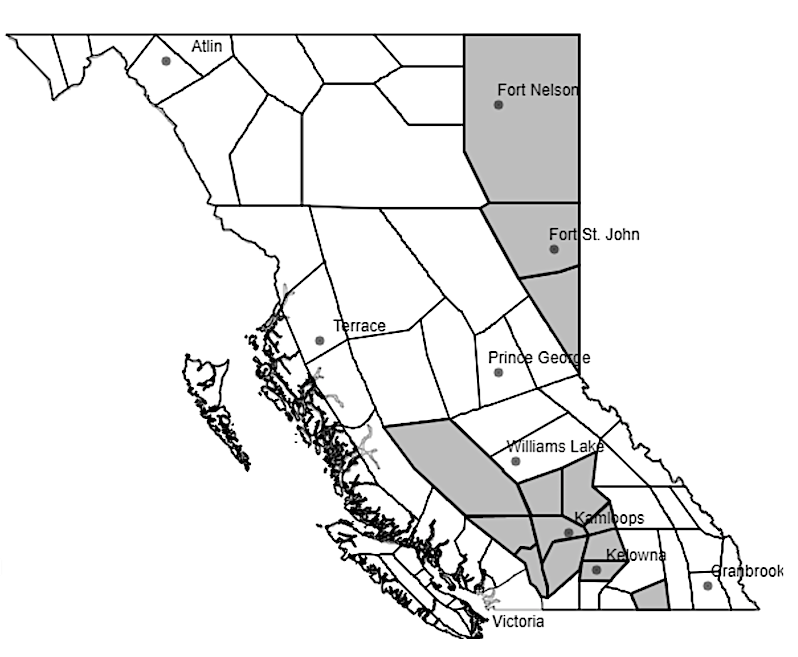 Caution issued over wildfire smoke - TimesChronicle.ca
