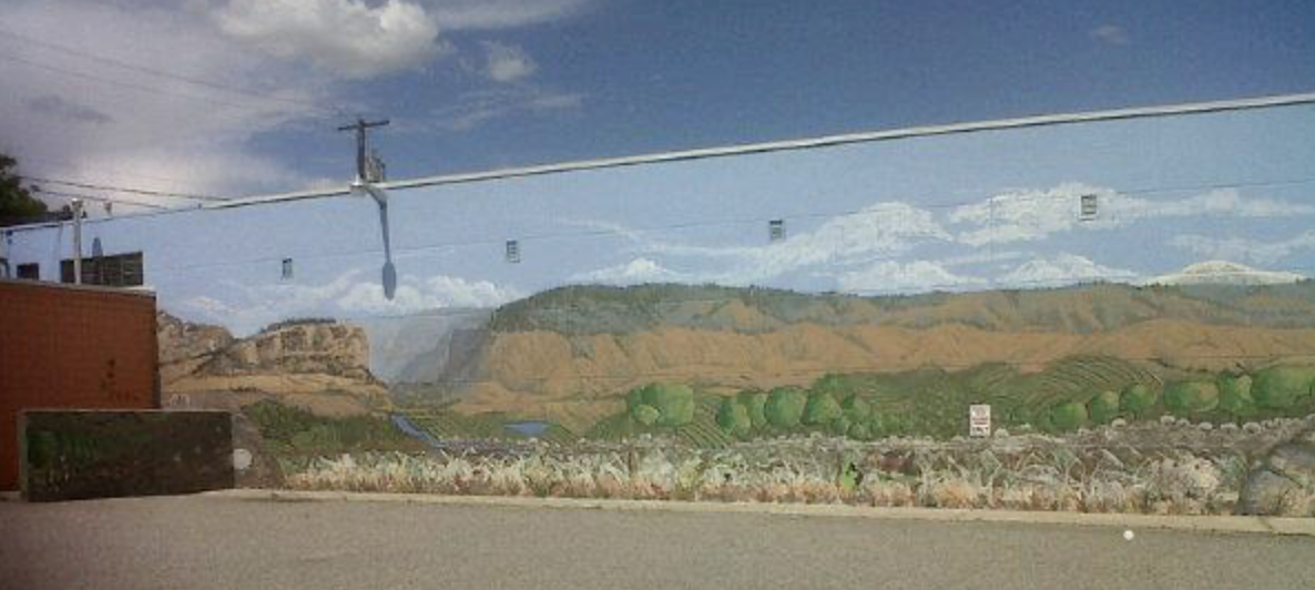 Artists devastated as mural disappears - TimesChronicle.ca