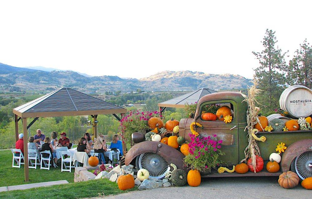 ‘Pigging out’ on a beautiful fall weekend - TimesChronicle.ca