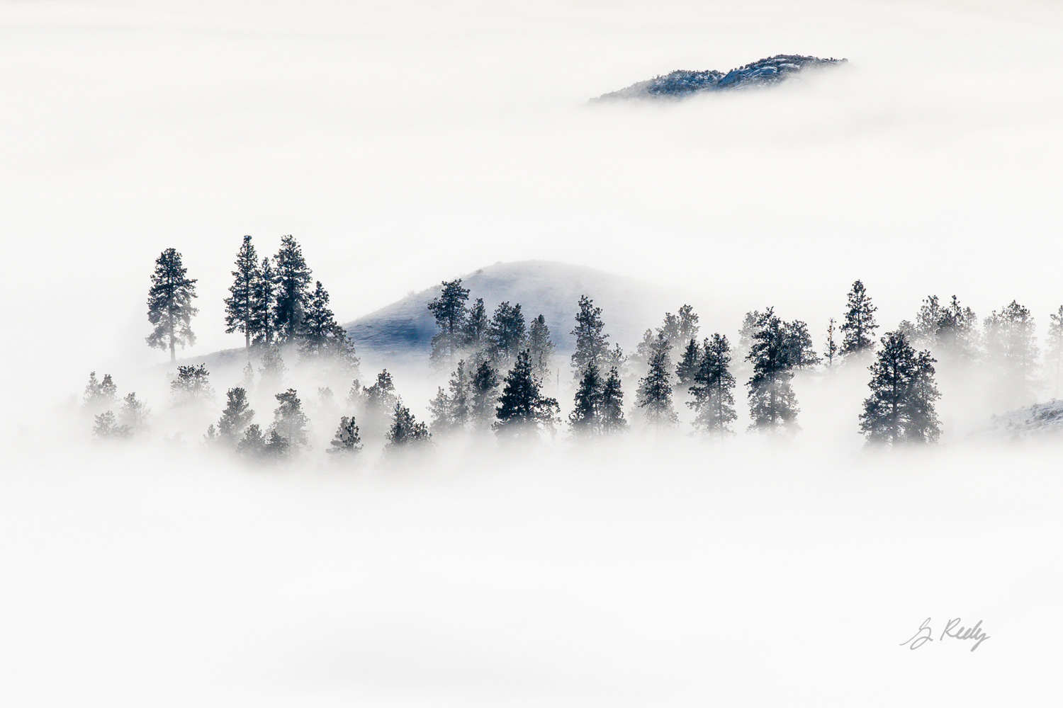 Local photographer always takes his best shot - TimesChronicle.ca