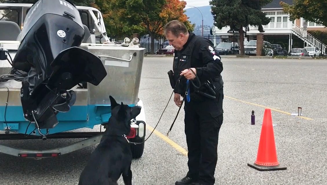 OBWB wants province to up its Invasive Mussel Defence - TimesChronicle.ca