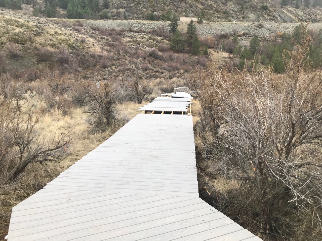 Desert boardwalk has received a major upgrade - TimesChronicle.ca