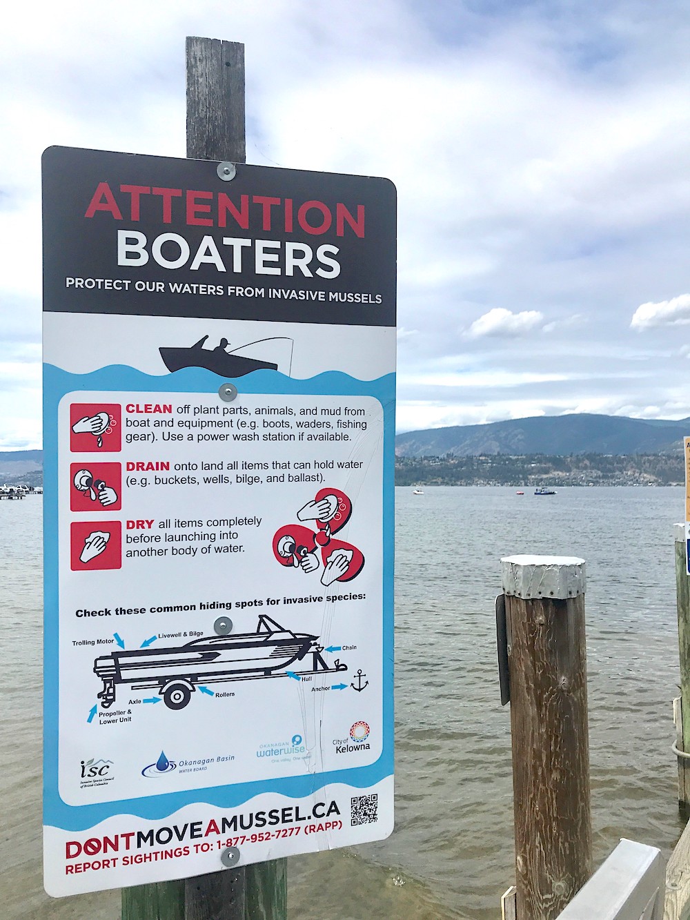 Federal muscle needed to fight invasive mussels - TimesChronicle.ca