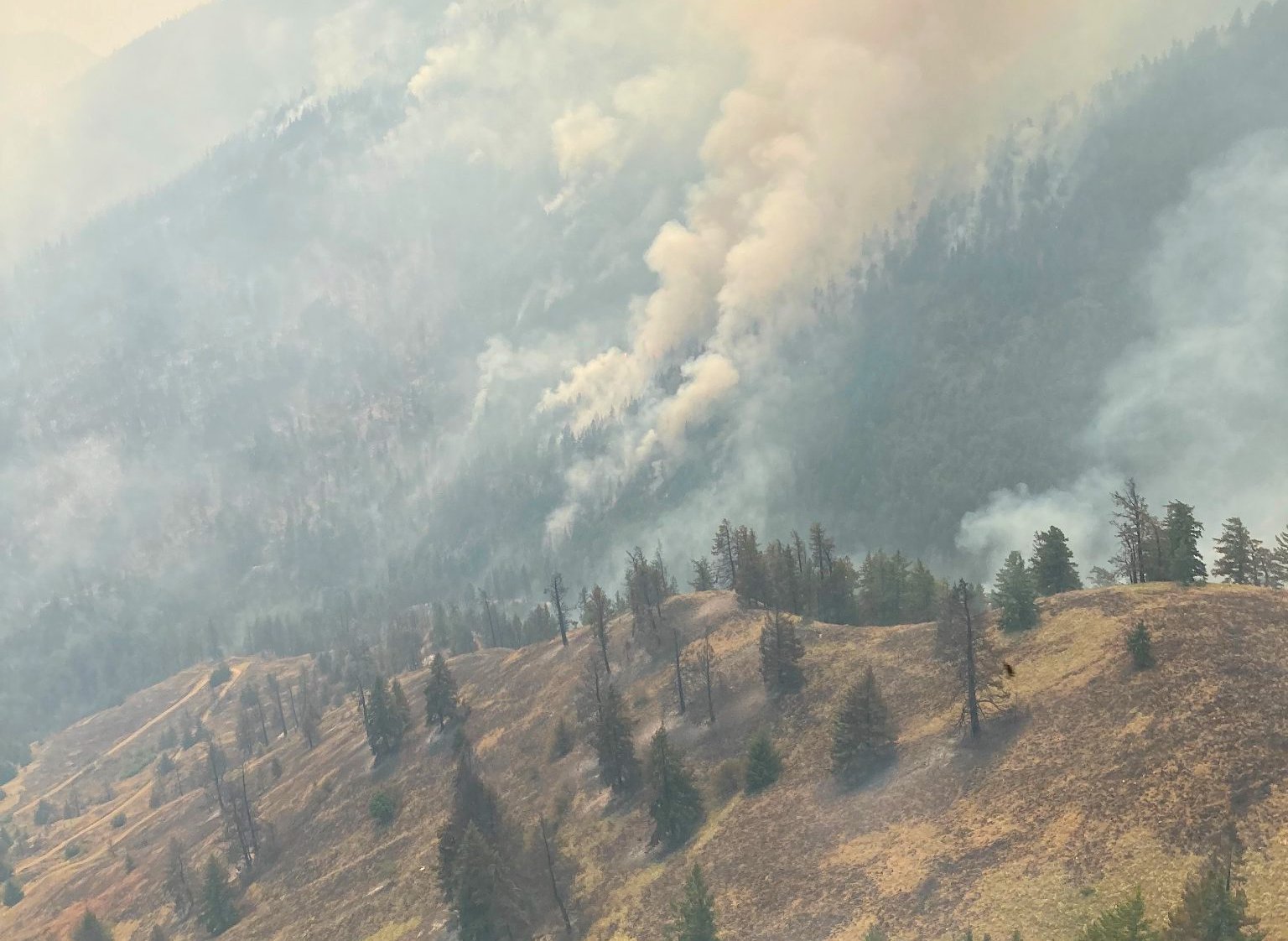 UPDATED: Keremeos Creek wildfire growth slowed by inversions ...