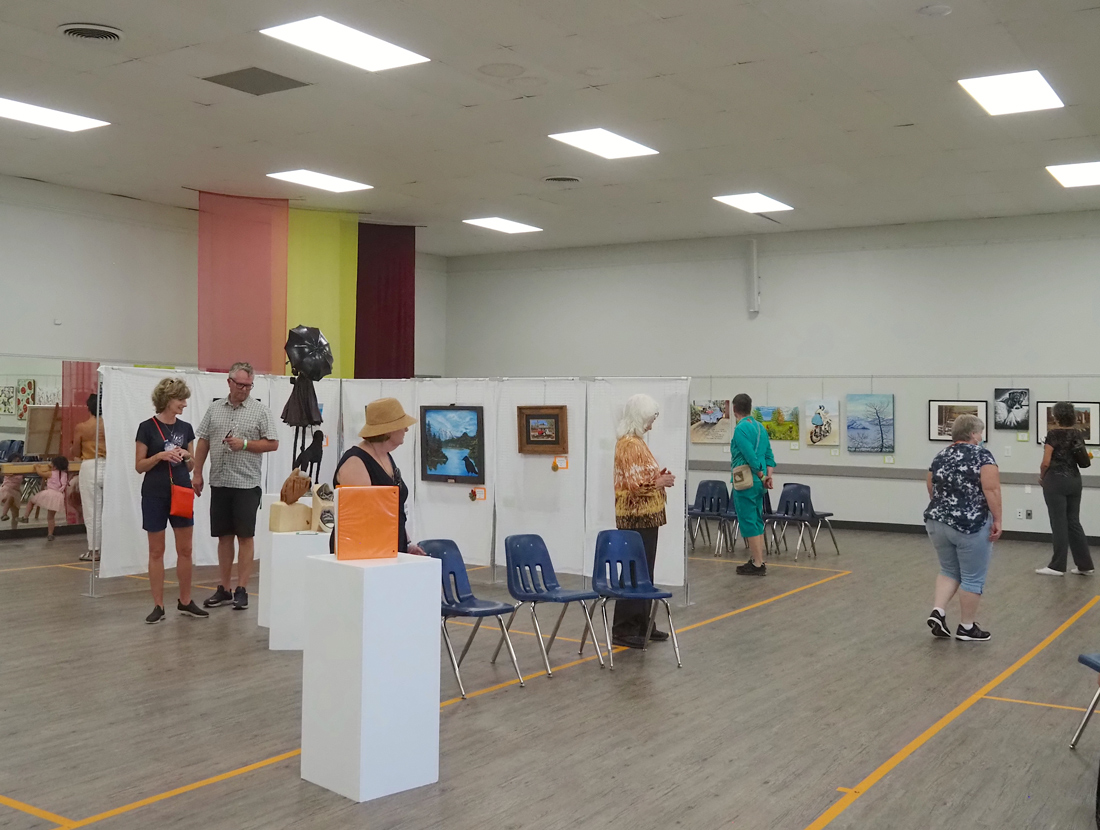 Fall art show includes a dash of alt.Picasso - TimesChronicle.ca