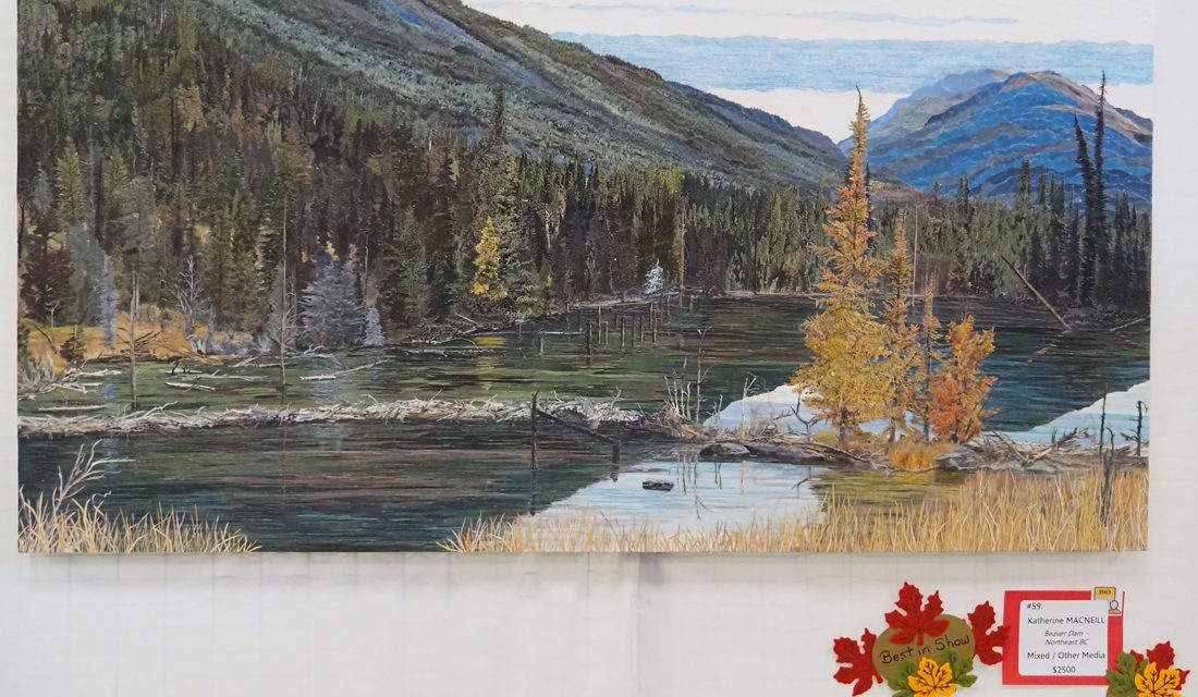 Fall art show includes a dash of alt.Picasso - TimesChronicle.ca