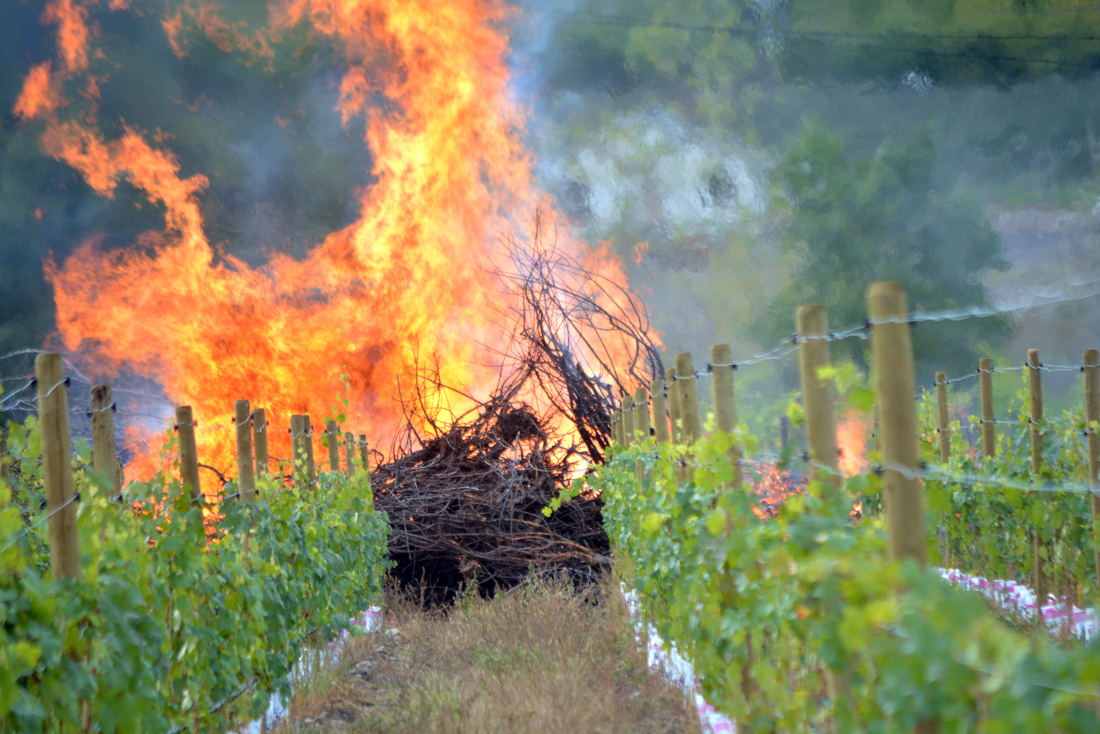 Region moves to Cat2 open fire ban on Friday - TimesChronicle.ca