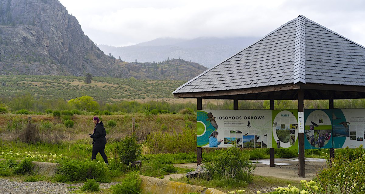 Bird Trail takes flight with more trails coming - TimesChronicle.ca