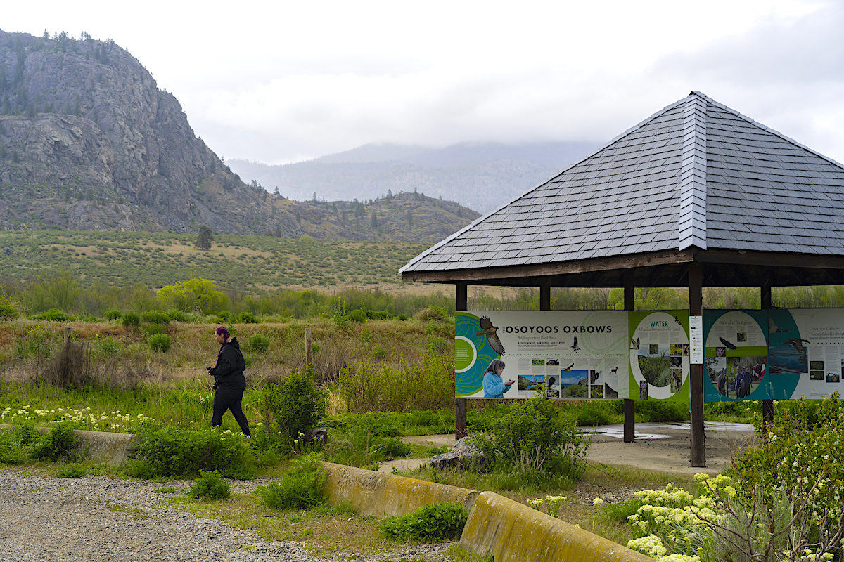 Bird Trail takes flight with more trails coming - TimesChronicle.ca