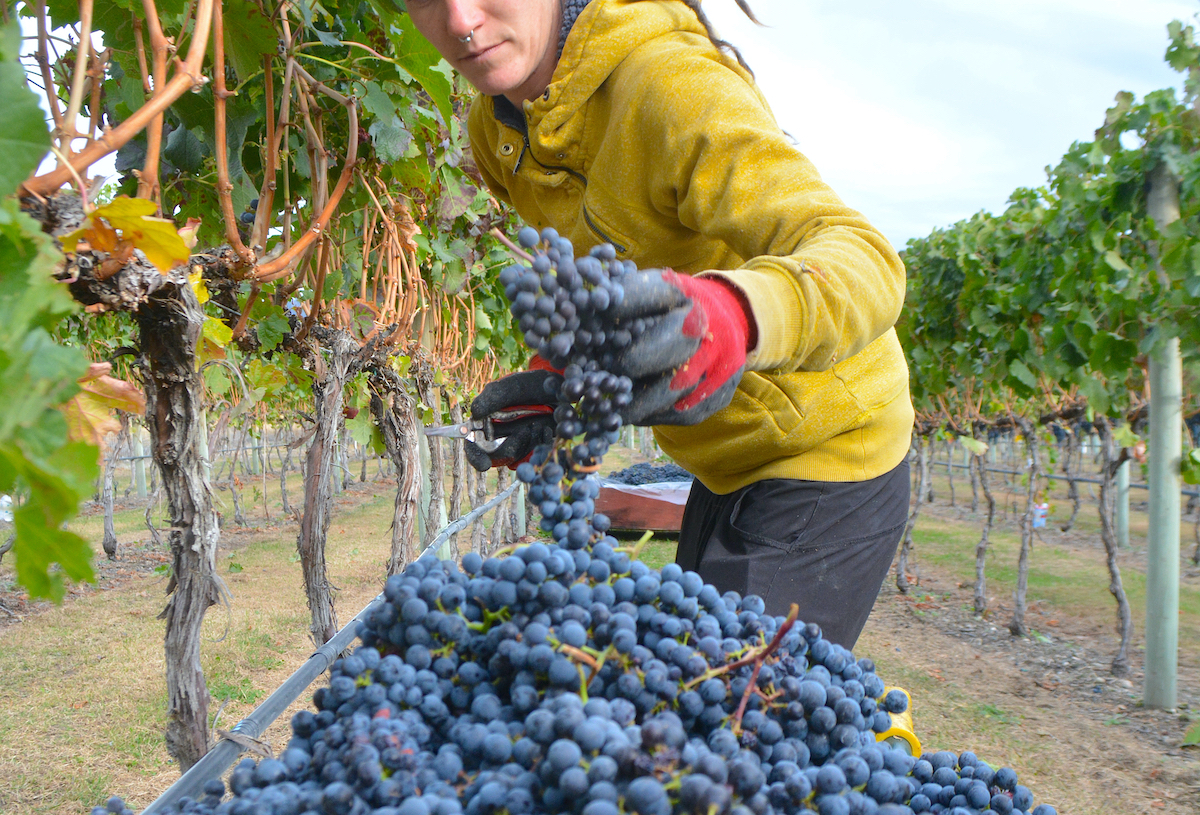 Sexual assault allegations shine light on a wider issue - TimesChronicle.ca