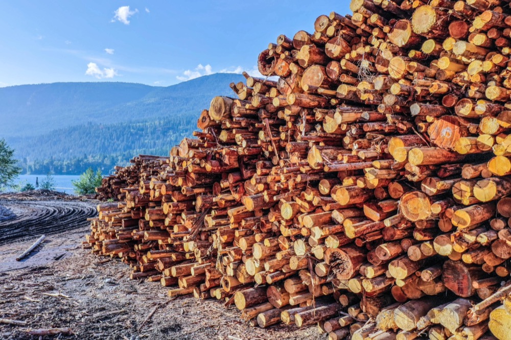 OIB, Mercer Celgar partner over waste wood utilization - TimesChronicle.ca