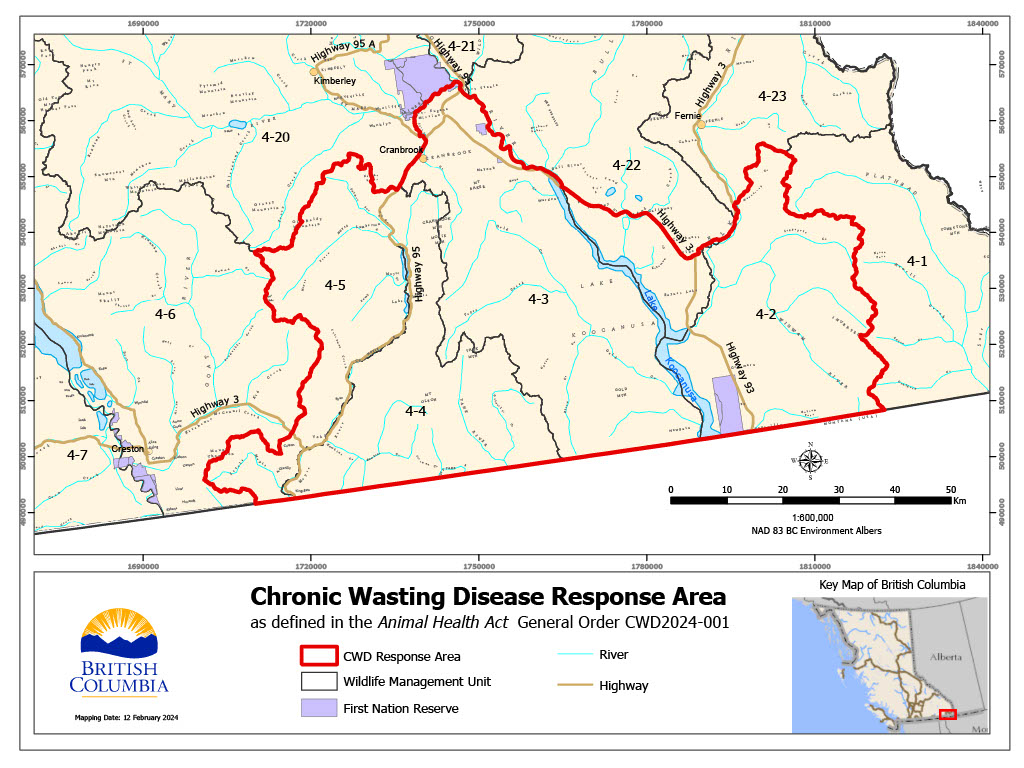 ‘Zombie deer’ disease in BC requires rapid response - TimesChronicle.ca