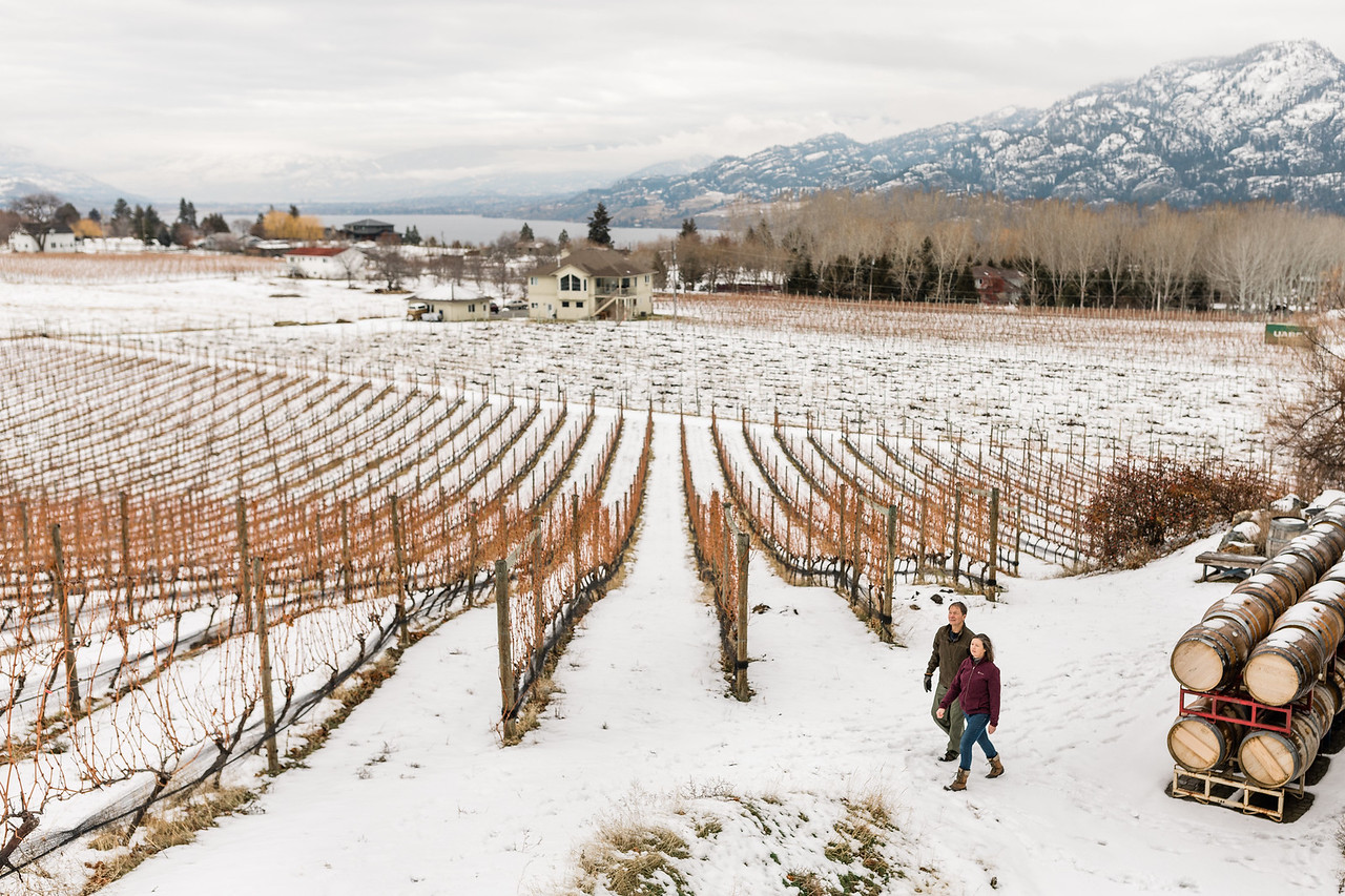 Climate change support for BC fruit growers announced - TimesChronicle.ca