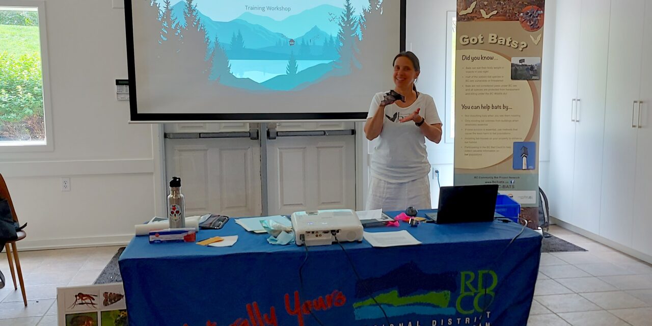 Learning to appreciate the bats around us - TimesChronicle.ca