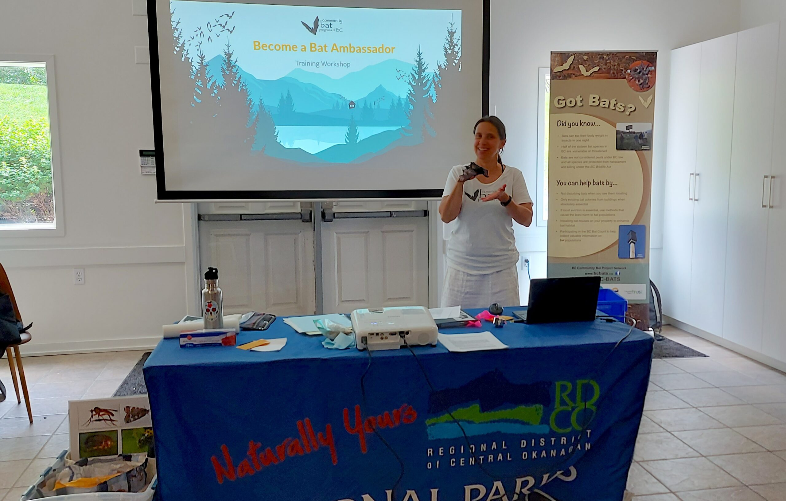 Learning to appreciate the bats around us - TimesChronicle.ca