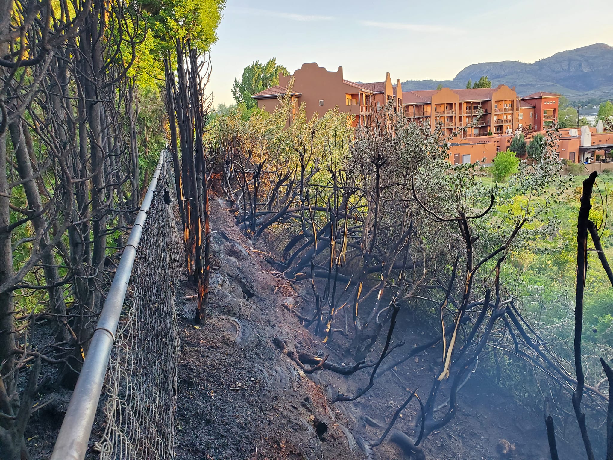 Osoyoos interface fire begins from camp cooking - TimesChronicle.ca