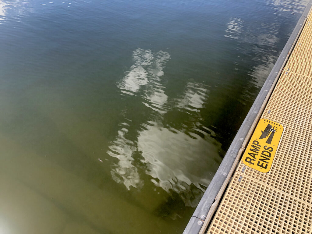 Osoyoos boat ramp reopens but repairs still needed - TimesChronicle.ca