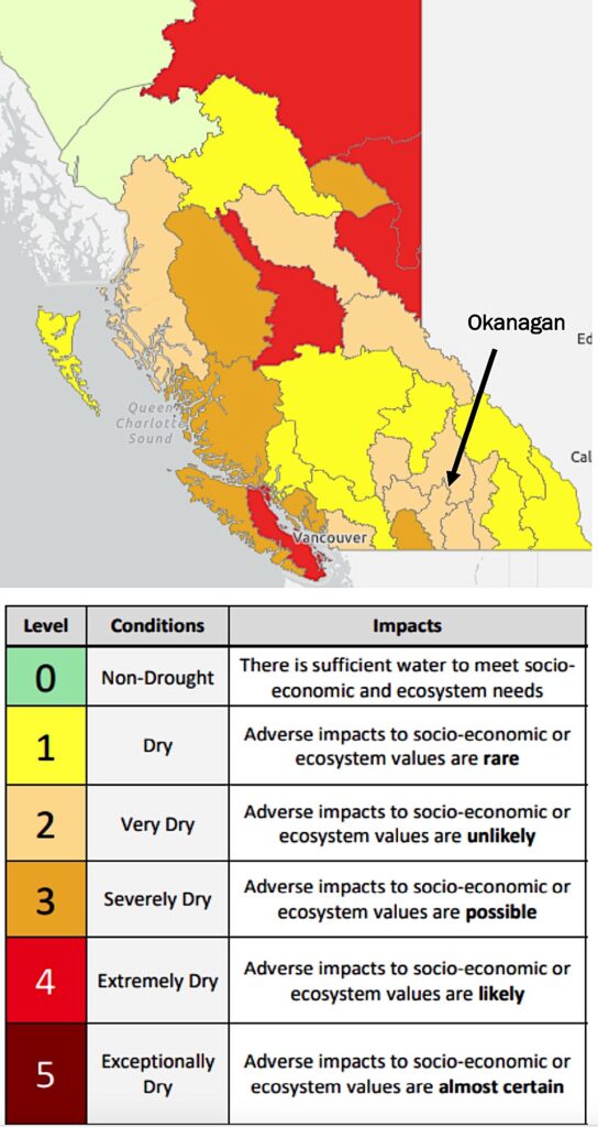 Okanagan returns to Drought Level 2 on back of heatwave - TimesChronicle.ca