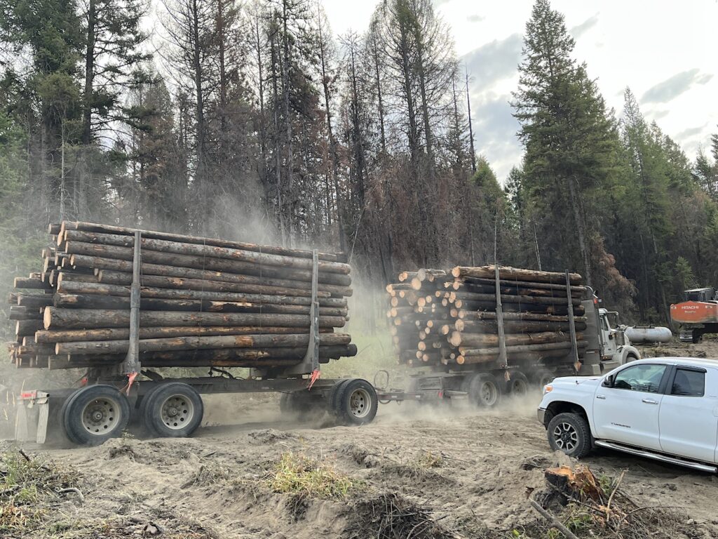 Siya Forestry launched by OIB, Infinity-Pacific partnership ...