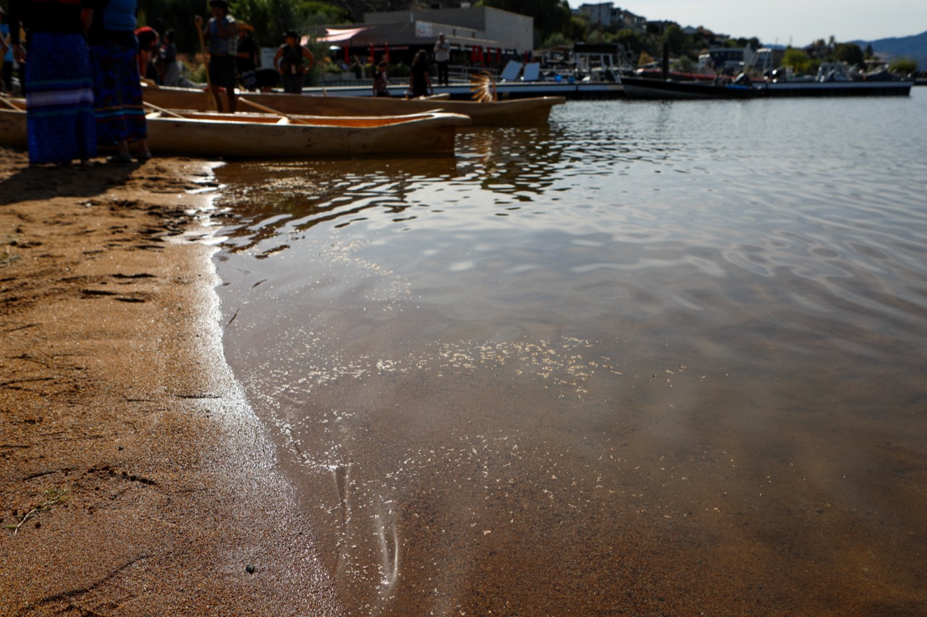 syilx Okanagan Nation celebrates annual salmon feast - TimesChronicle.ca