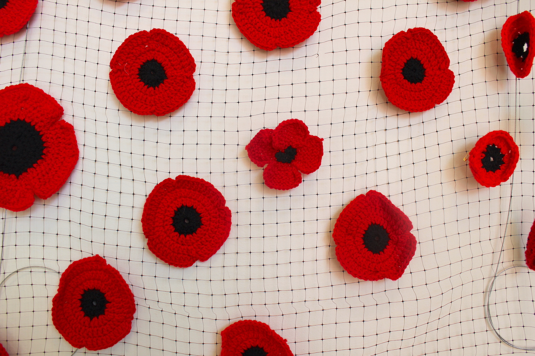 Osoyoos Poppy Project continues to grow year-by-year - TimesChronicle.ca