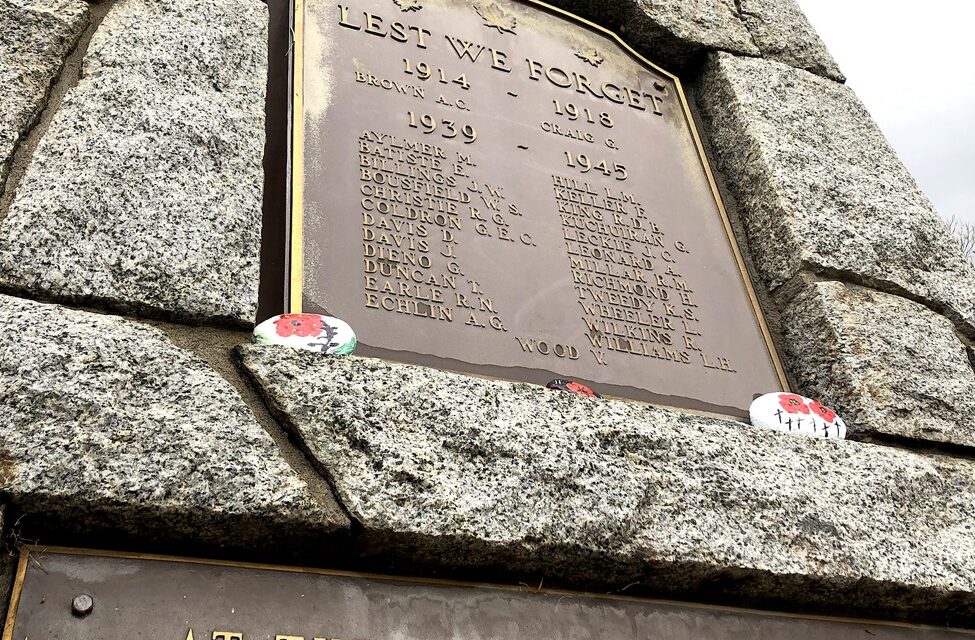 Honouring the sacrifices: Remembrance Day 2024 - TimesChronicle.ca