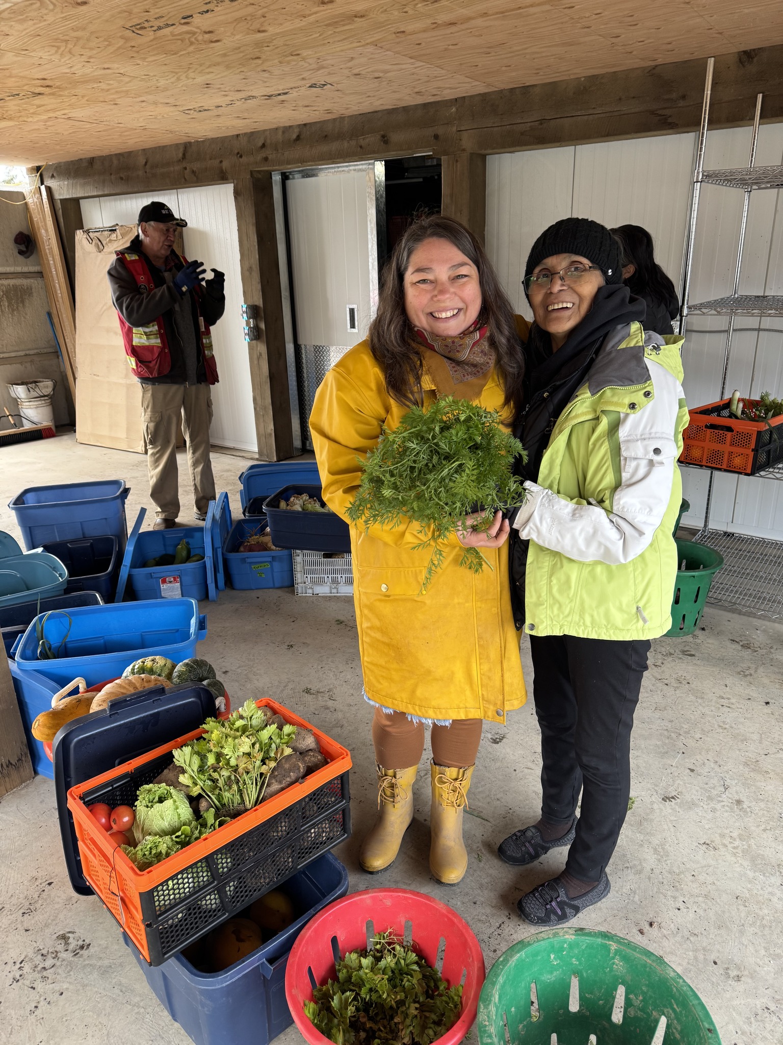 ‘Tea Creek’ screening explores Indigenous food sovereignty ...
