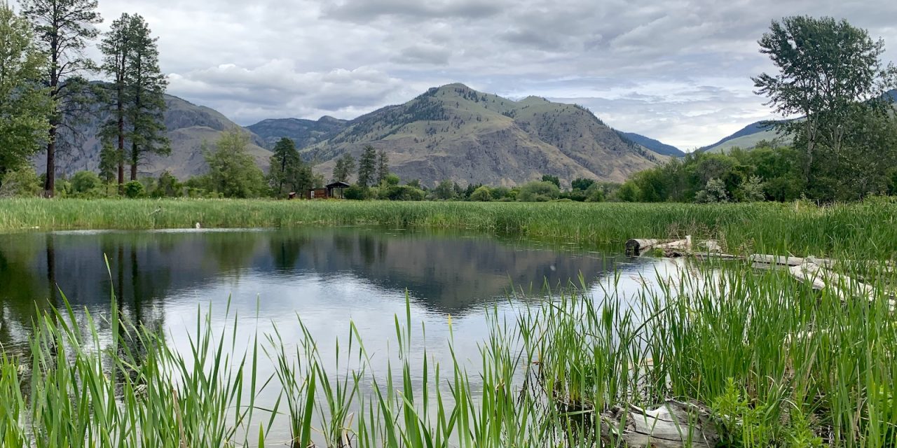 SILT awarded in watershed moment for land conservation - TimesChronicle.ca