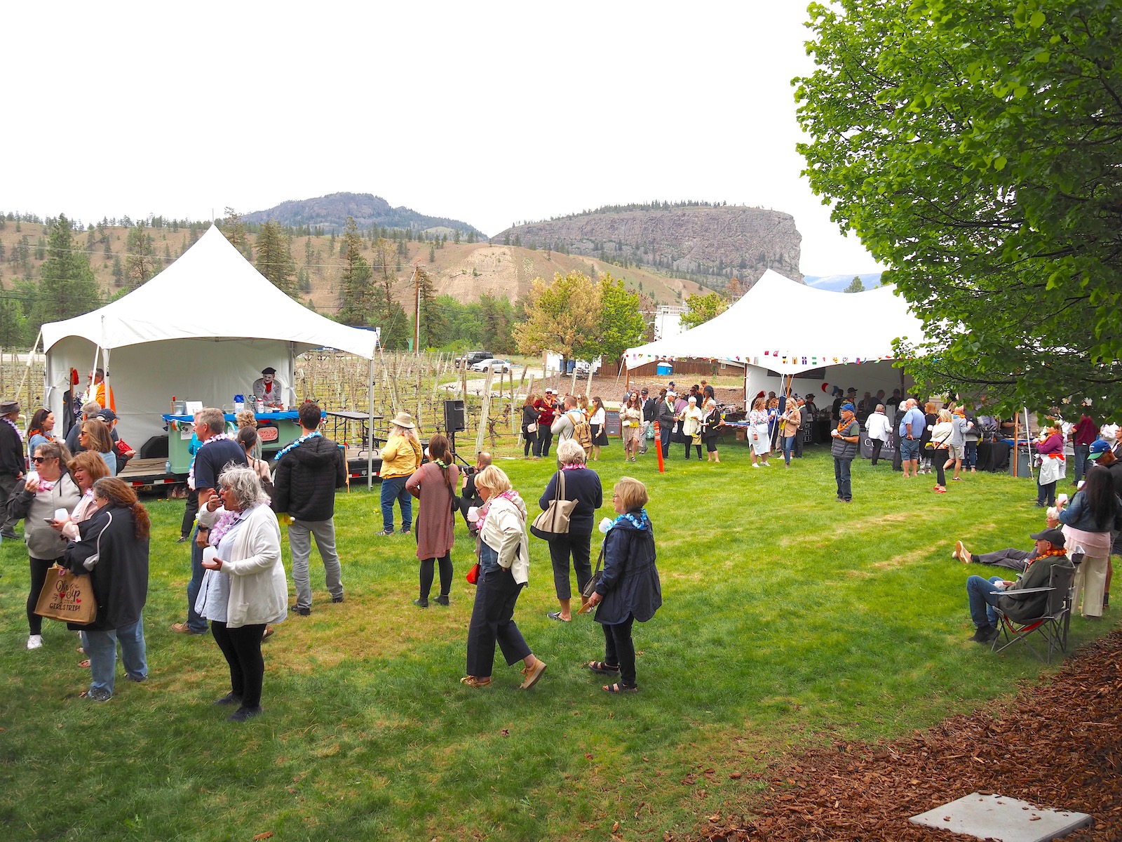 Much-loved Pig Out Festival just around the corner - TimesChronicle.ca