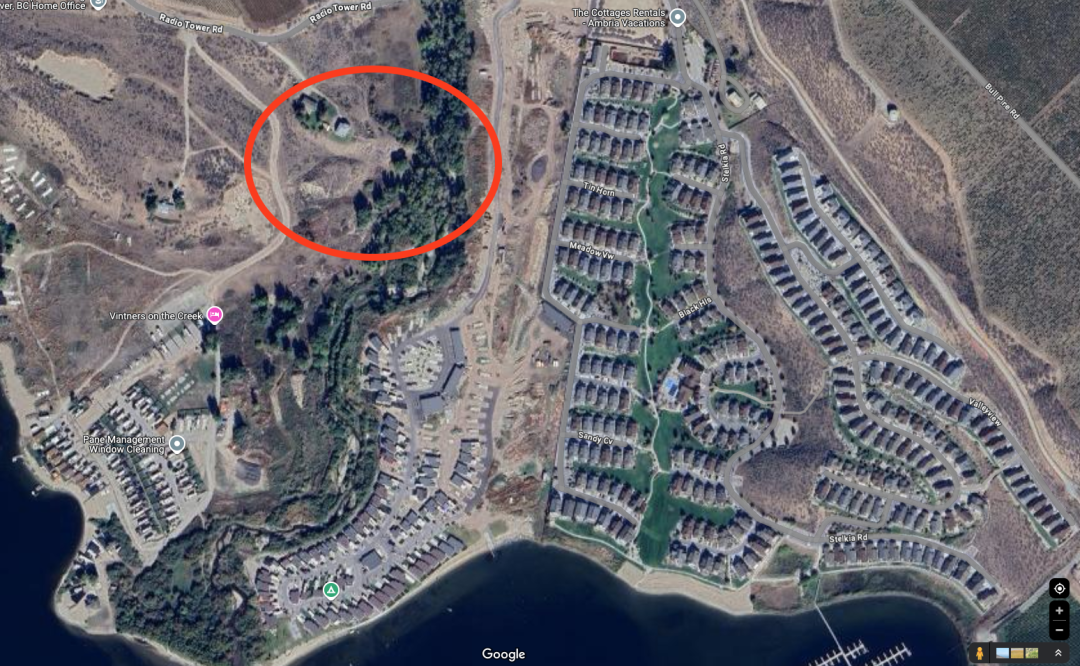 Fire near The Cottages brought to heel - TimesChronicle.ca