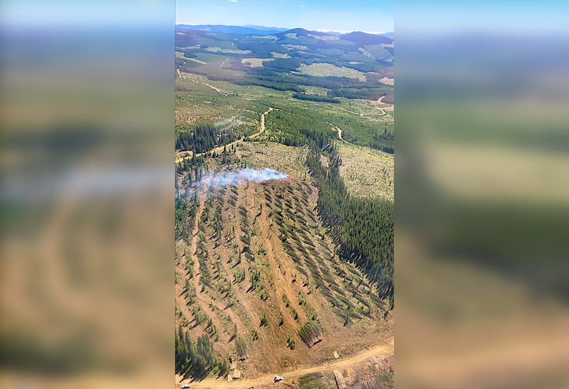 Wildfire northeast of Hedley now 'under control' - TimesChronicle.ca