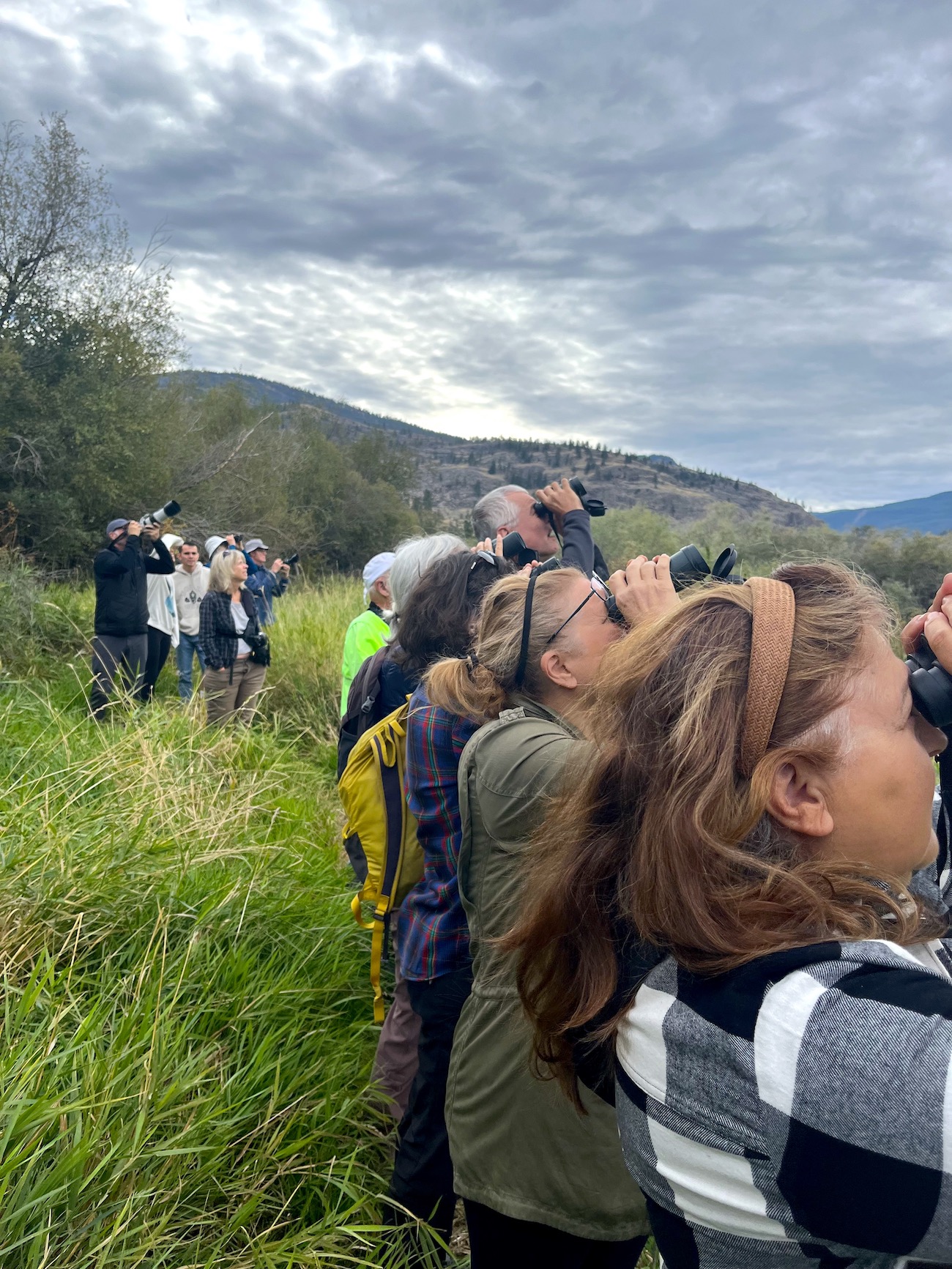 Annual Bird Migration Day open house at Vaseux - TimesChronicle.ca