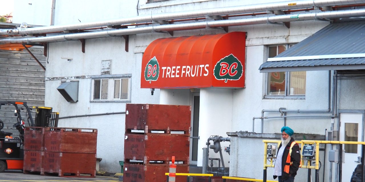 BC Tree Fruits history fully resides in Kelowna after transfer ...