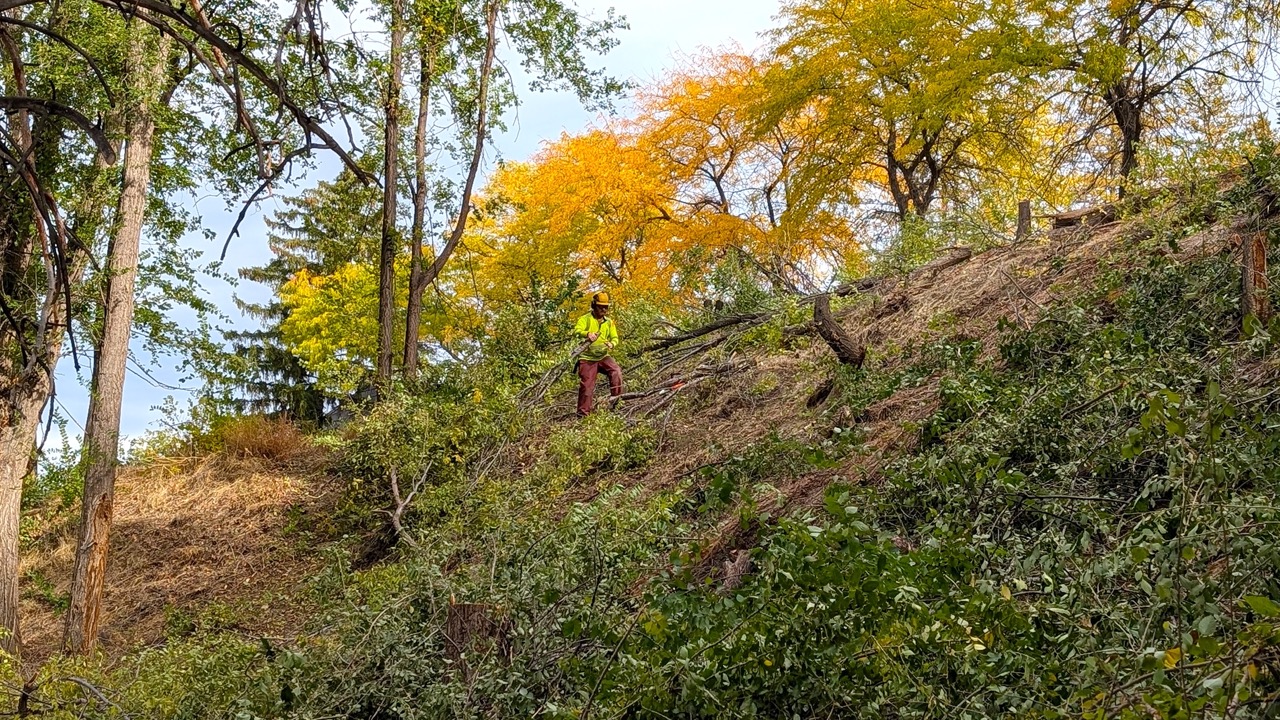 Public invited to invasive species event at Oliver park - TimesChronicle.ca