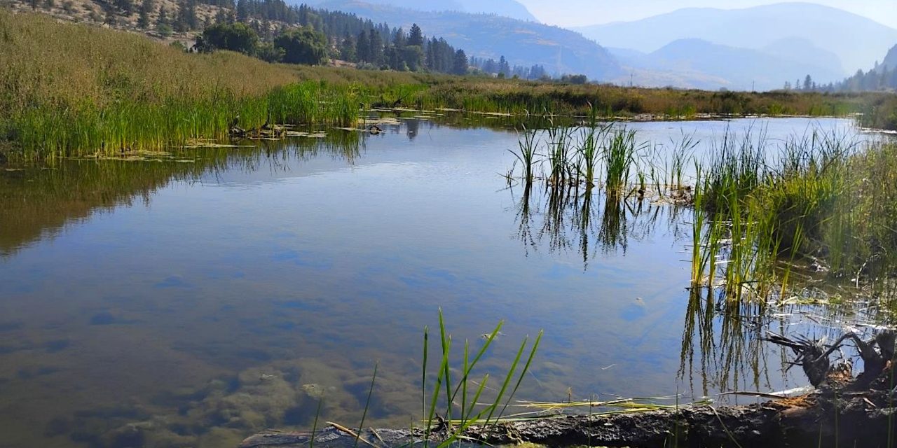 Funding shuffle approved to advance floodplain regeneration ...